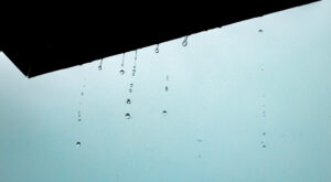 12 Bahaya Kesehatan dan Cara Jitu Mengatasi Kamar Lembab